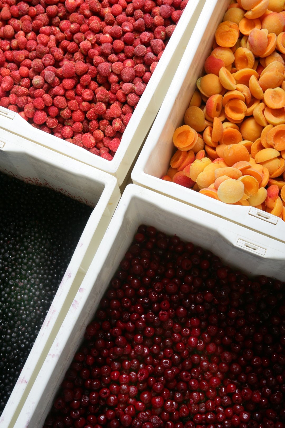 Price and availability of jam fruit-Andrésy Confitures