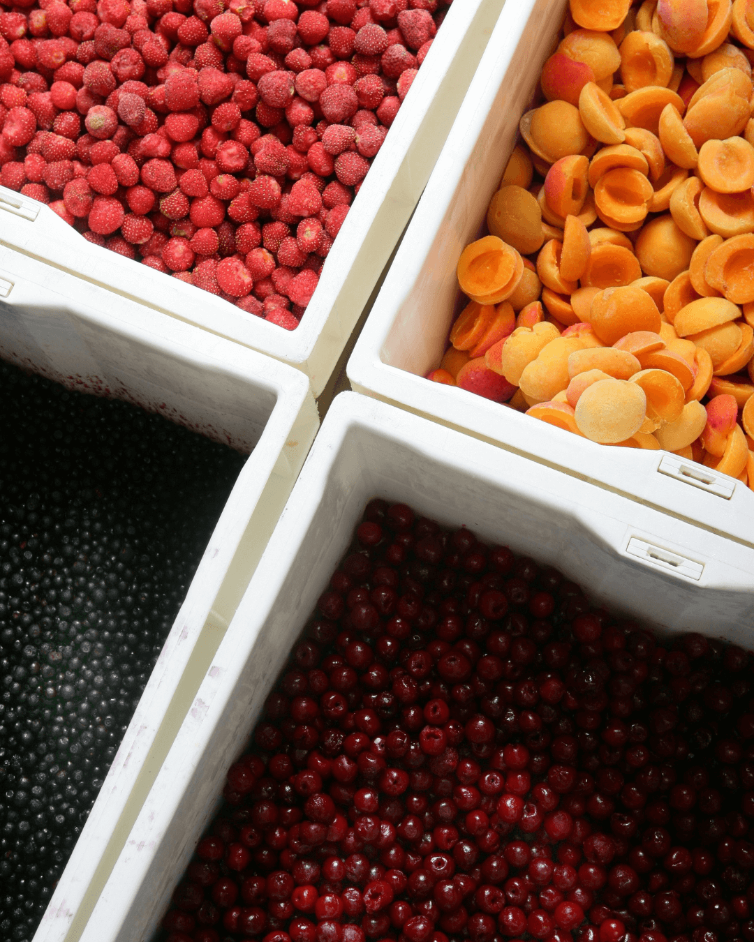 Partition Gourmande, best traditional french jam | Andrésy Confitures